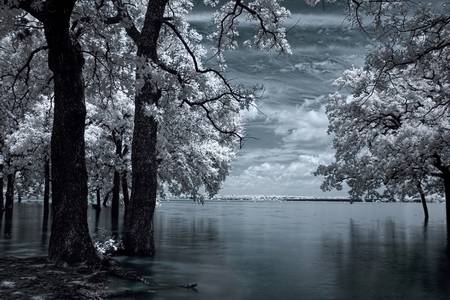 20 Stunning Infrared Photographs