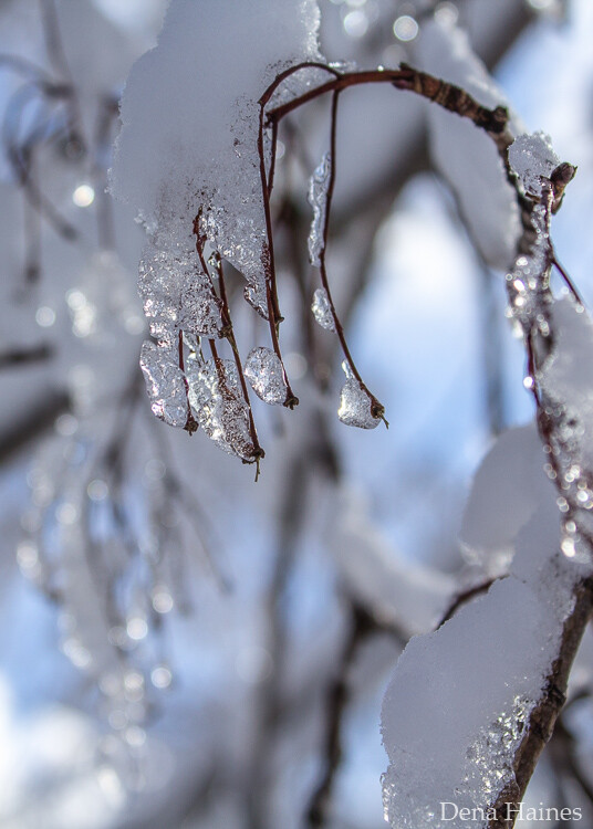 13 Snow Photography Tips: A Beginner’s Guide | Photo-natural.com