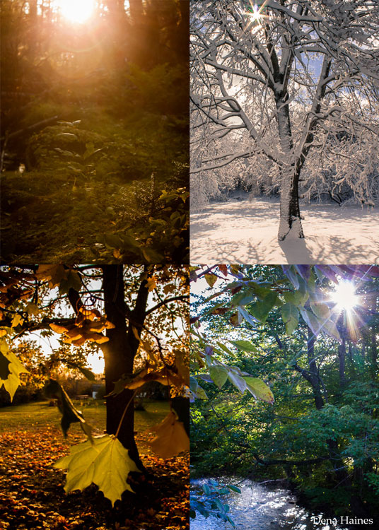 Wedding videography: “How to Photograph Sun Flares: 14 Tips for ...