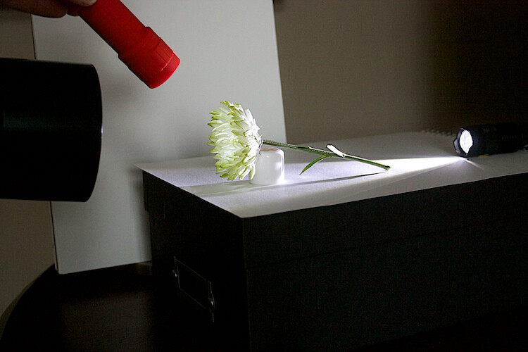 How to Create Gorgeous Flower Images using a Flashlight and a Reflector ...