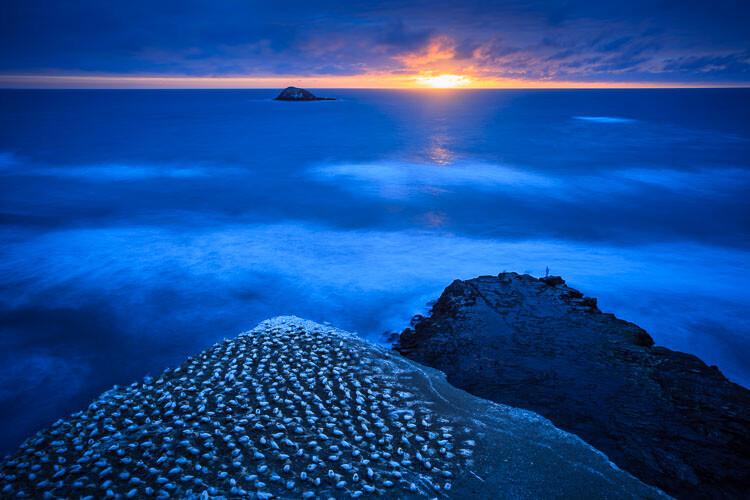 6 Tips for Getting Consistent Results Shooting in Low Light