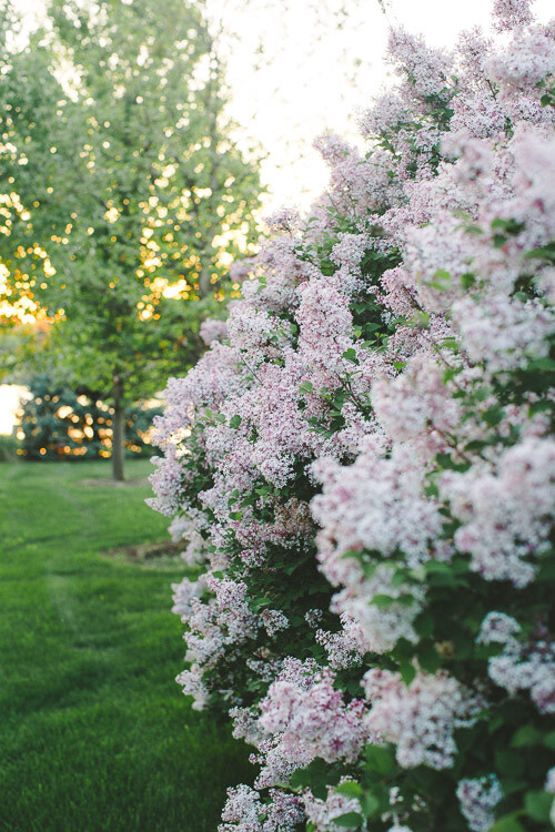 6 Quick Tips for Doing Summer Photography