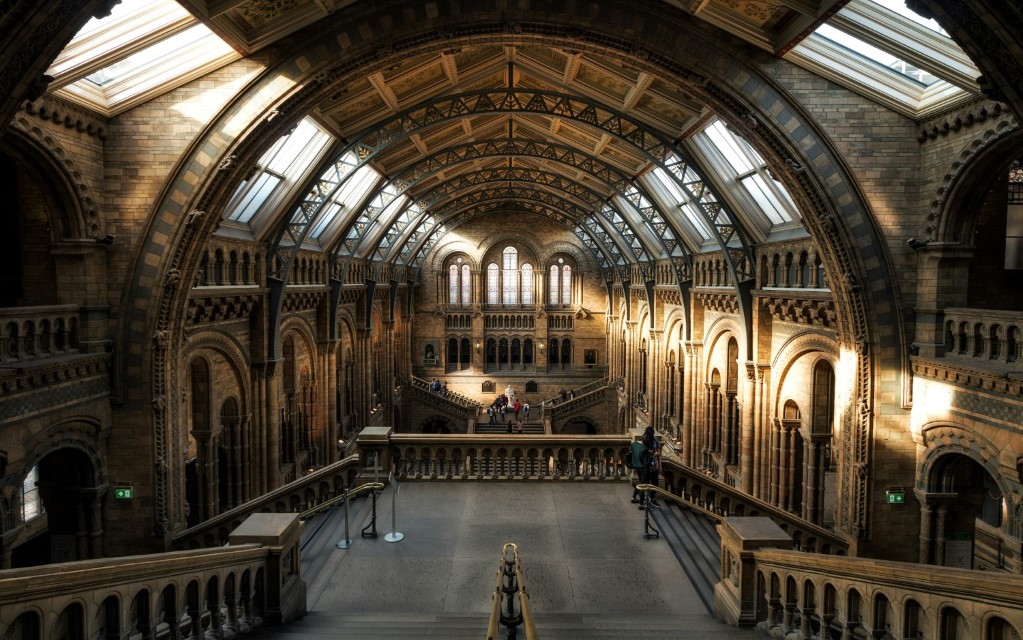 Symmetry in Photography: A Comprehensive Guide (+ Examples)