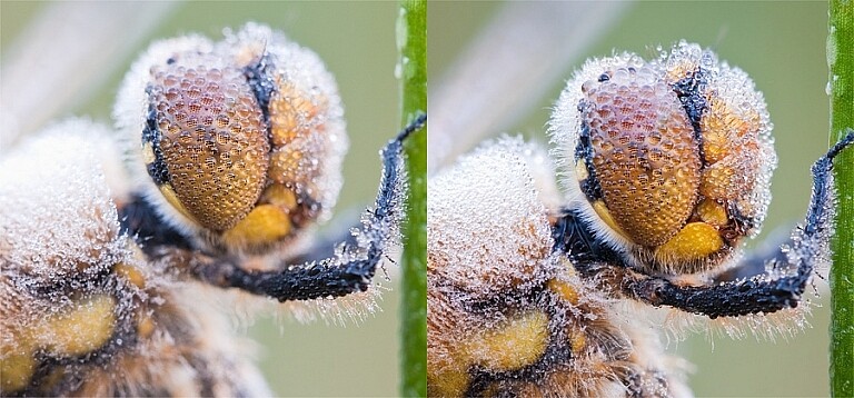 26 Unique Special Effects Photos to Spark Your Creativity