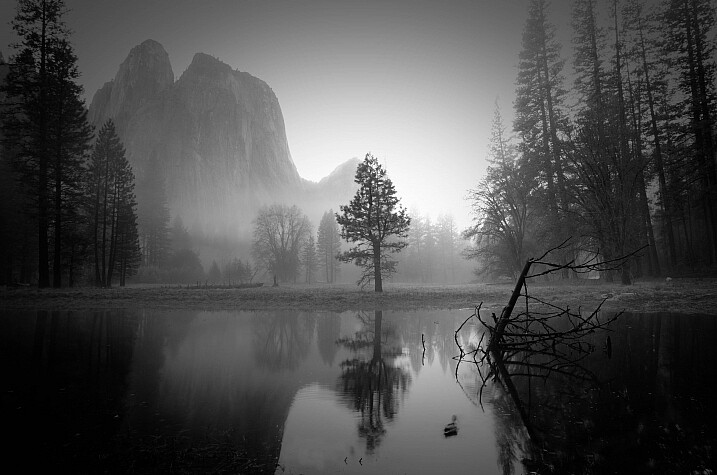 23 Remarkable Mirror Images of Reflections